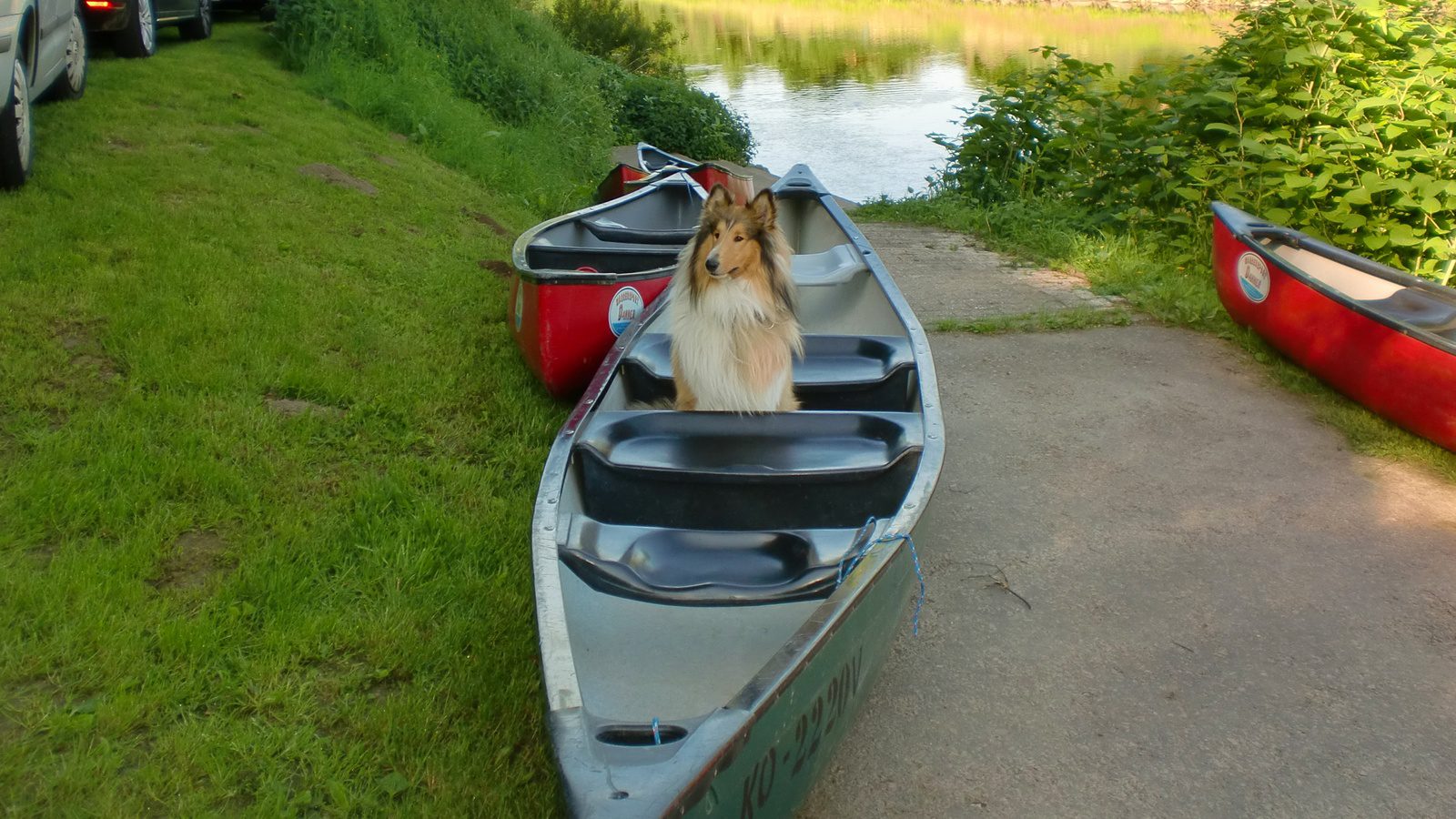 Hund an Bord - Bootsverleih Buch
